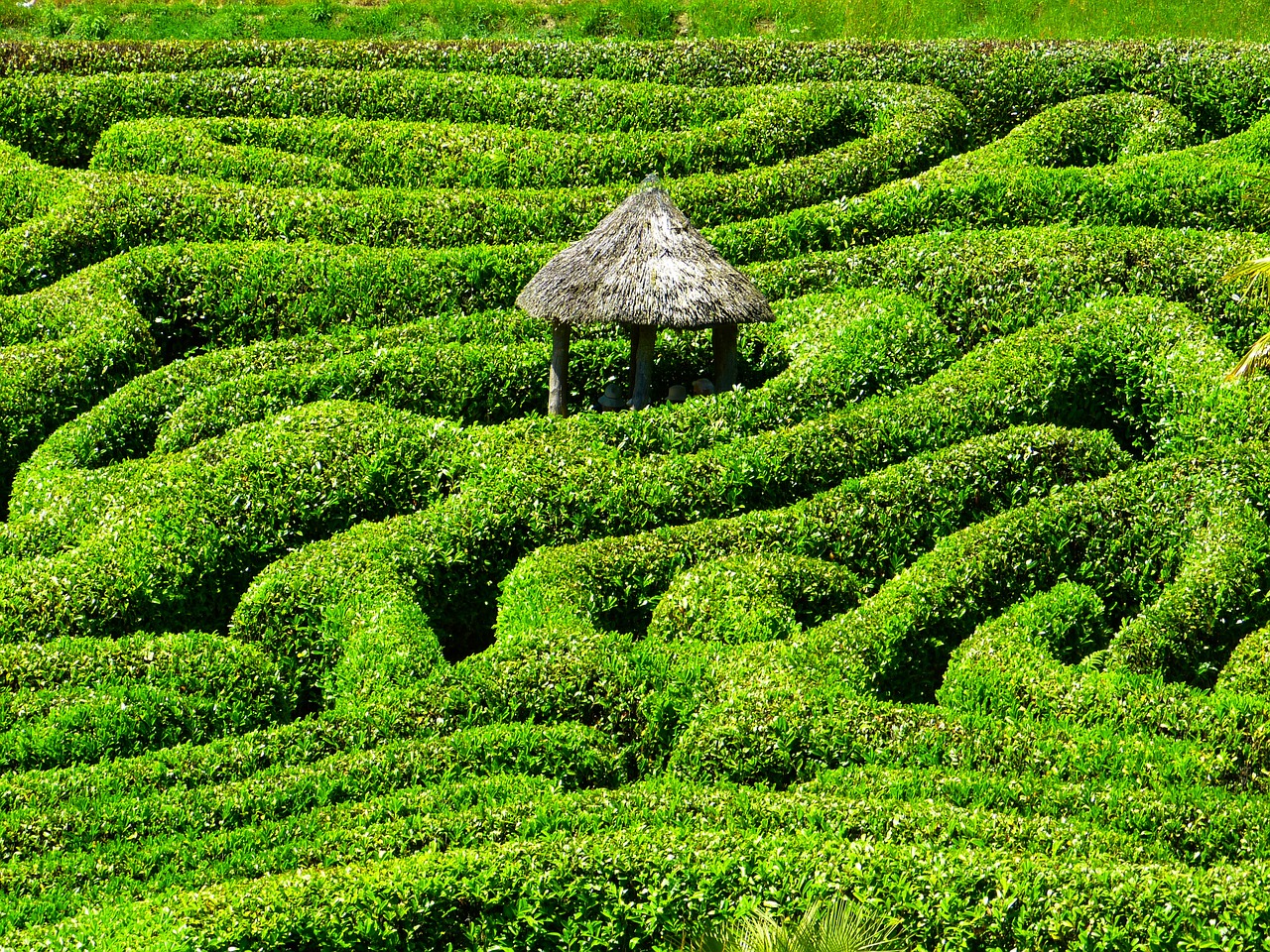 Take your brain for a walk | R&D Today