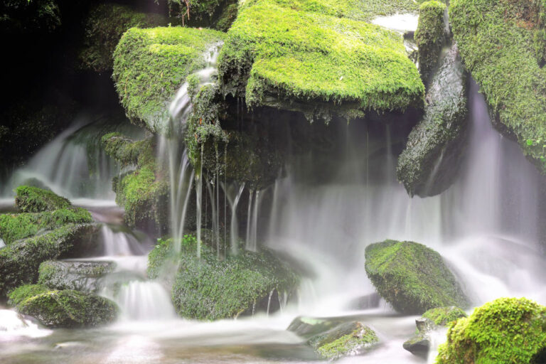 Is the FDA’s waterfall framework for design control outdated for ...